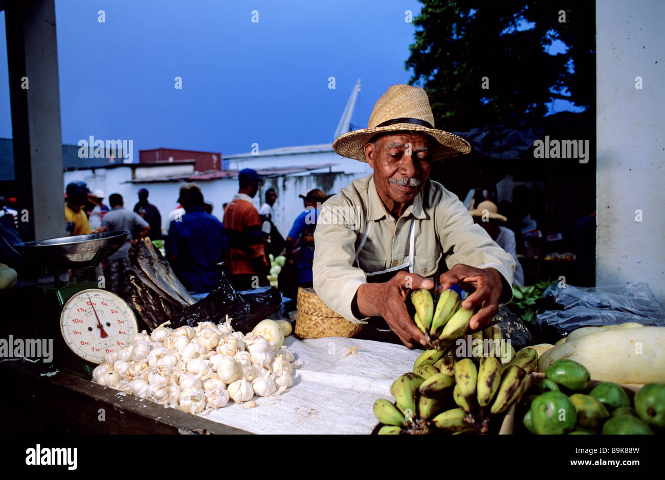 Mauritius, Rodrigues Island, Port Mathurin, market in Fisherman Lane ...