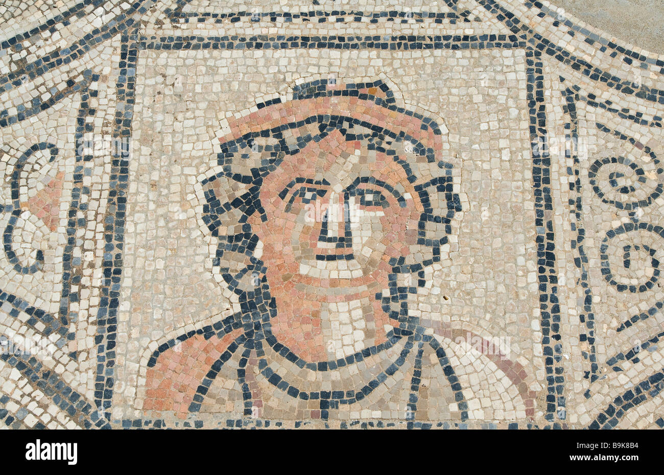 Volubilis hercules hi-res stock photography and images - Alamy