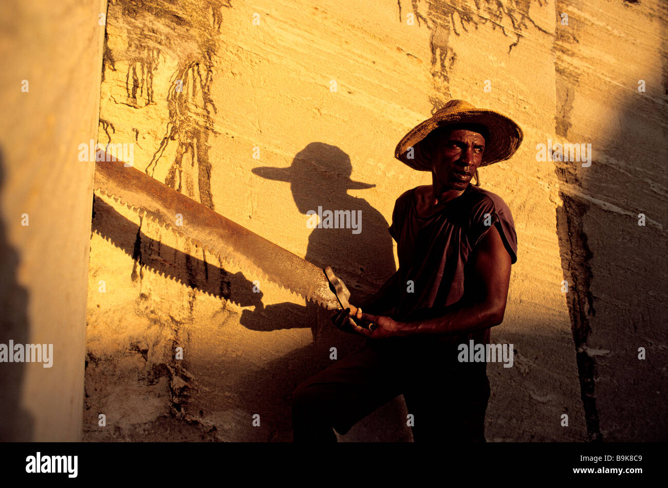 Mauritius, Rodrigues Island, Petite Butte, Jacquelin cutting coral ...