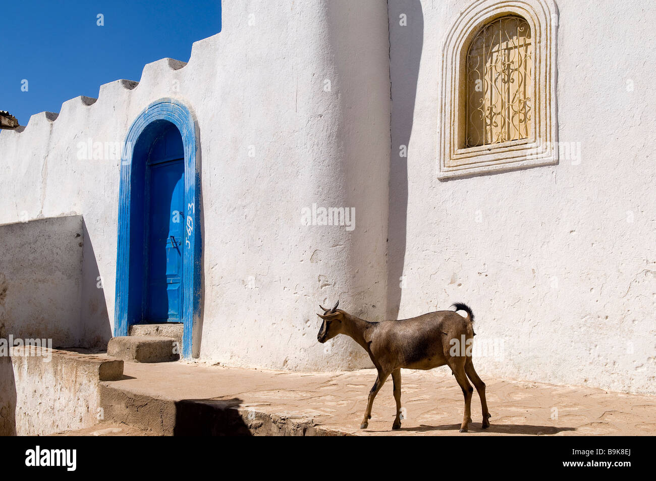 Ethiopia, Harar, town classified as World Heritage by UNESCO, the old ...