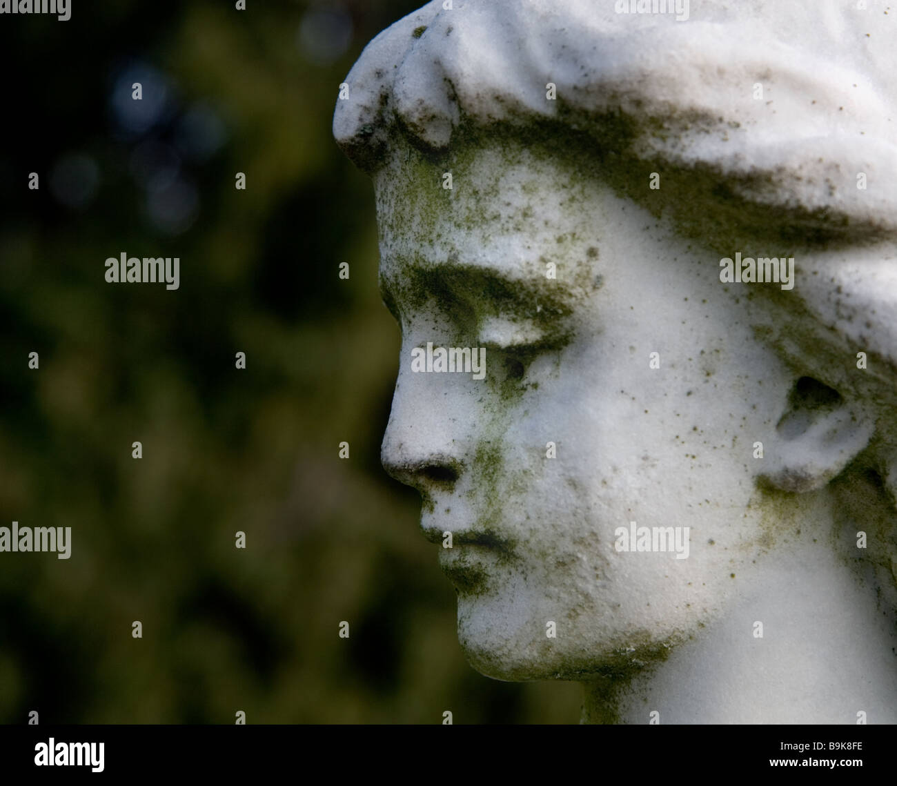 Angel head hi-res stock photography and images - Alamy