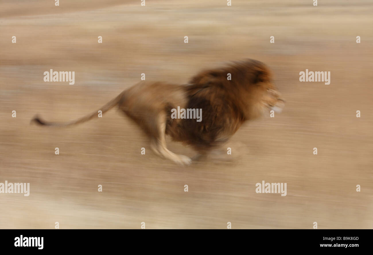 T01 hi-res stock photography and images - Alamy