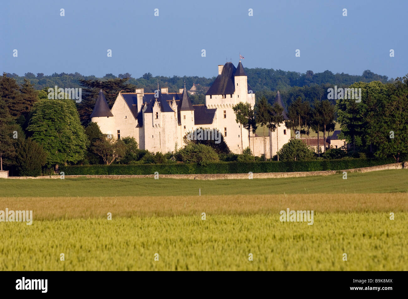 Lemere hi-res stock photography and images - Alamy