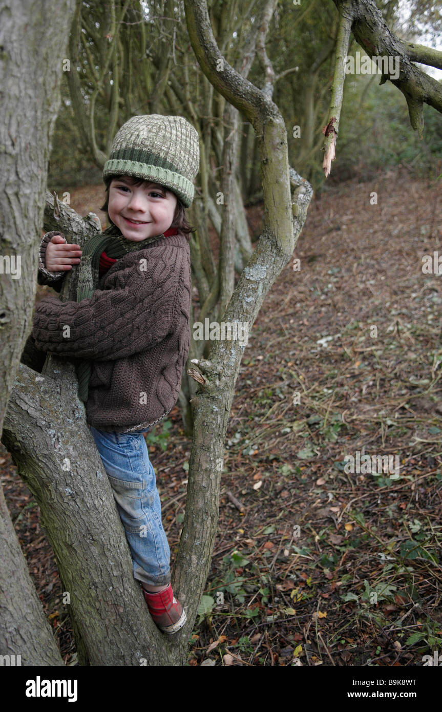 Climbing tree branch hi-res stock photography and images - Alamy