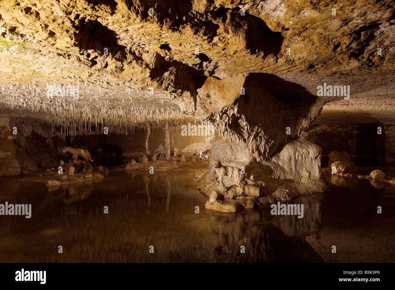 Petrifying hi-res stock photography and images - Alamy