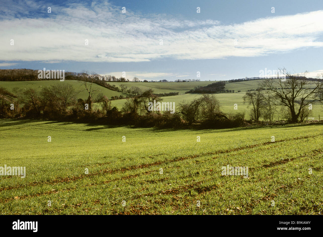 Kent countryside fields hi-res stock photography and images - Alamy