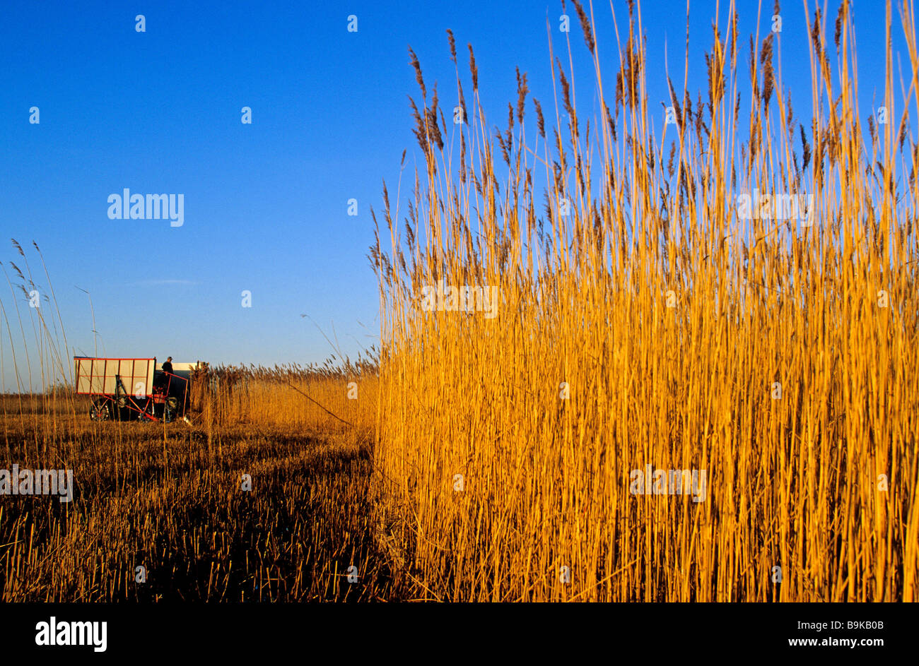 Gardians huts hi-res stock photography and images - Alamy