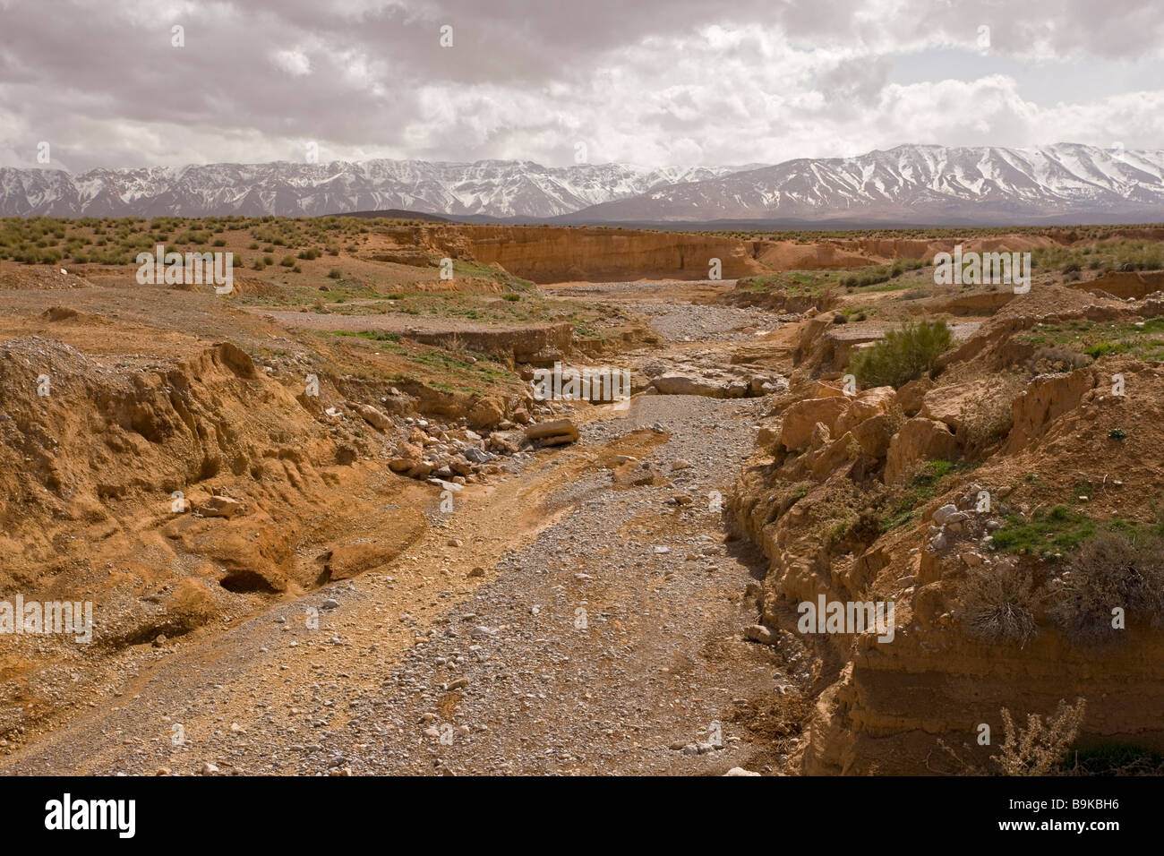 Zeida hi-res stock photography and images - Alamy