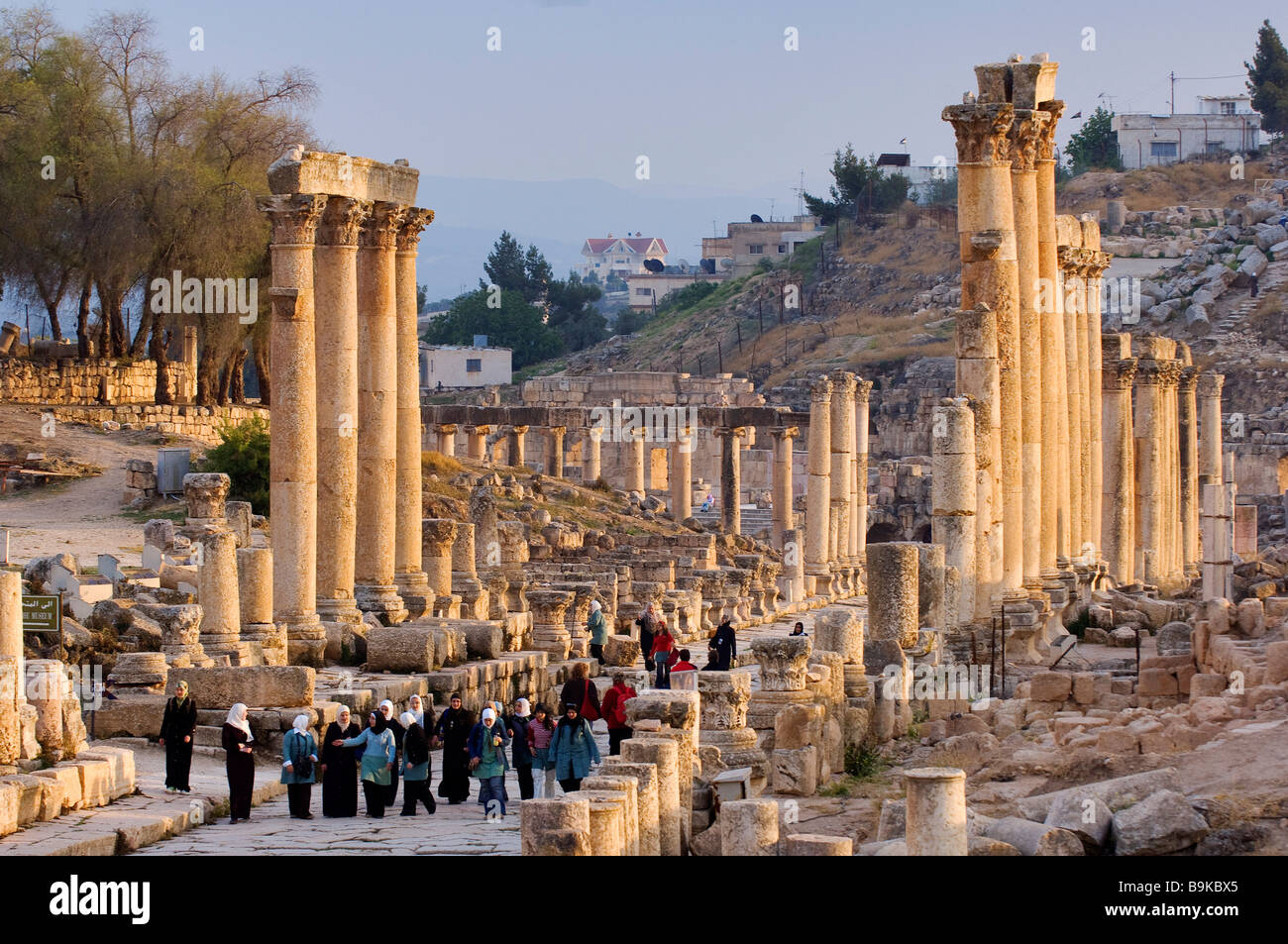 Jordan, Jerash Governorate, antique site of Jerash, Cardo Maximus Stock ...