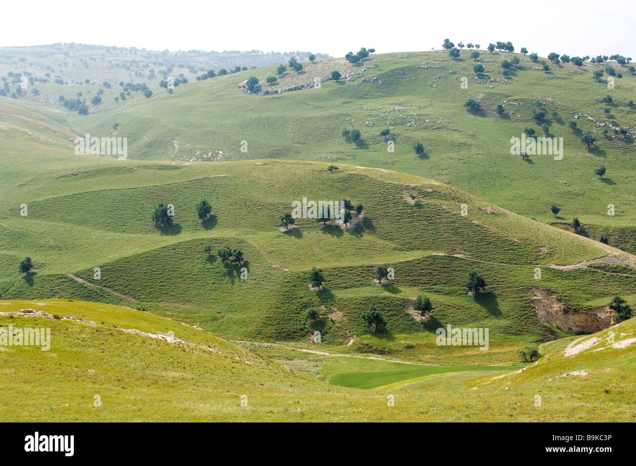 Ajlun governorate hi-res stock photography and images - Alamy