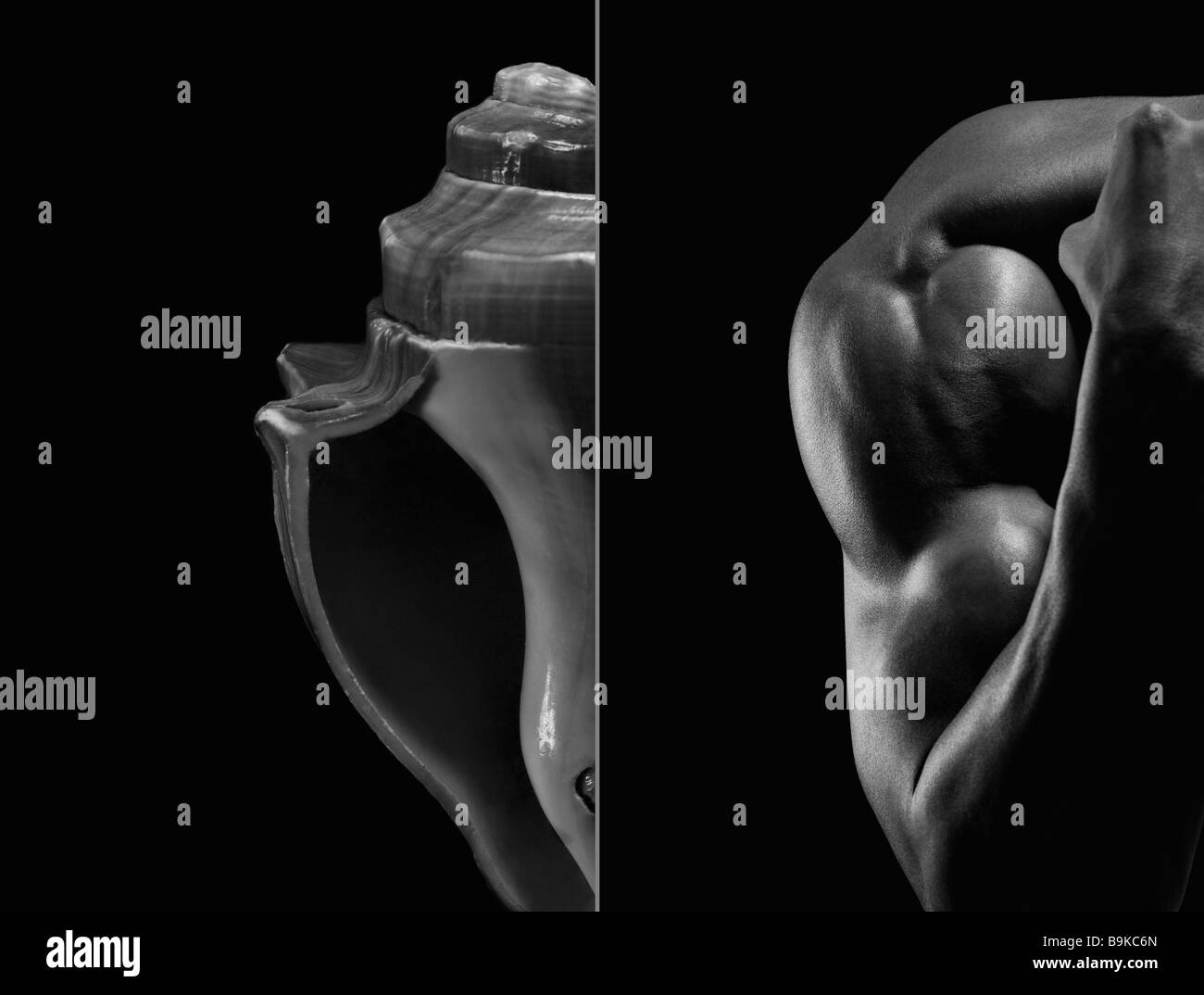 Comparison between a shell and man making the similar shape Stock Photo ...