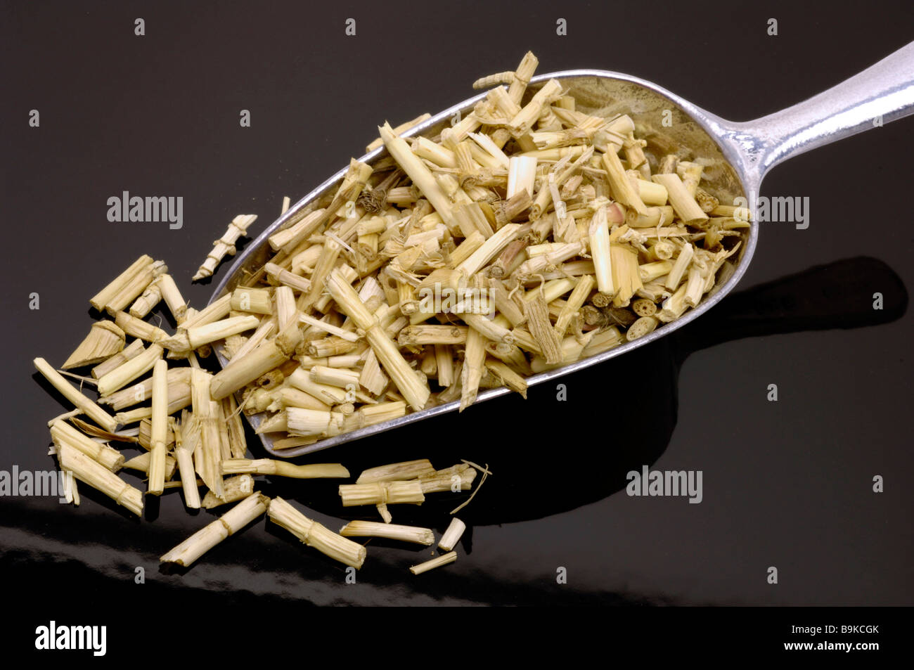 Gras roots High Resolution Stock Photography and Images - Alamy