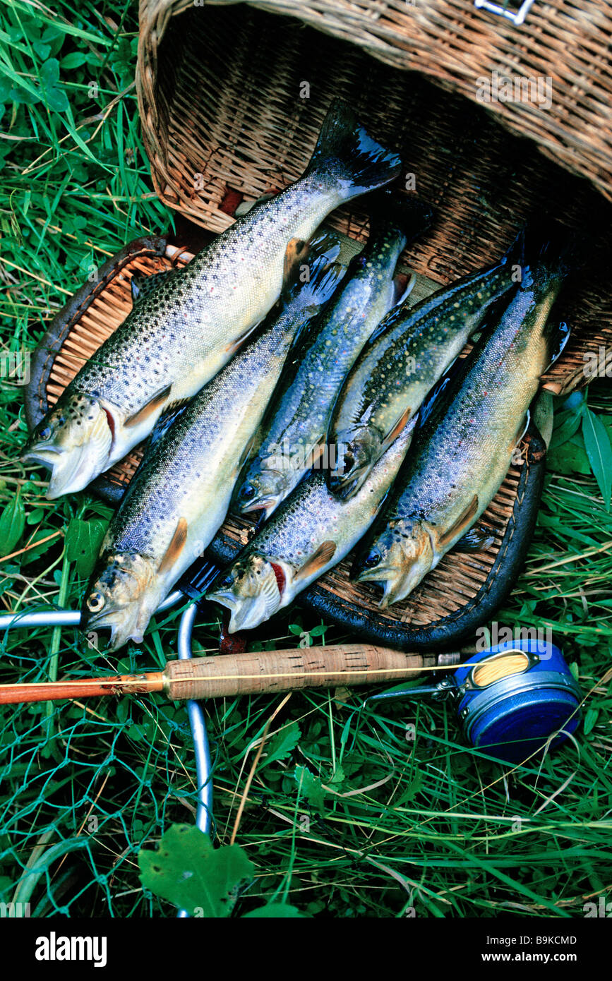 United States, South Dakota, Black Hills National Forest, fly fishing ...