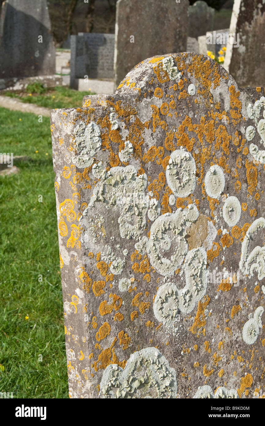 An old weathered gravestone covered in lichen Stock Photo - Alamy