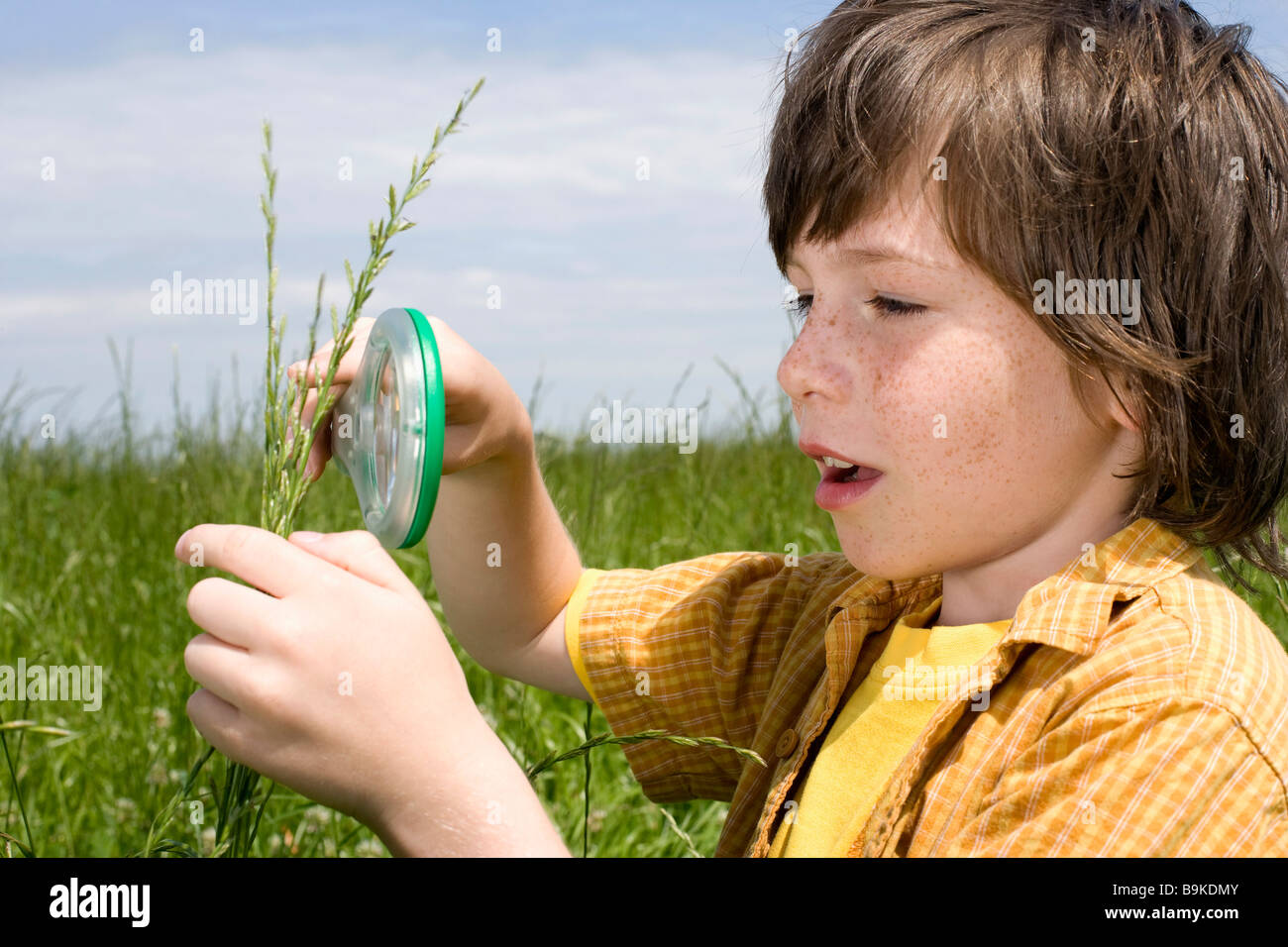 young boy looking at grass through magnifying glass Stock Photo - Alamy