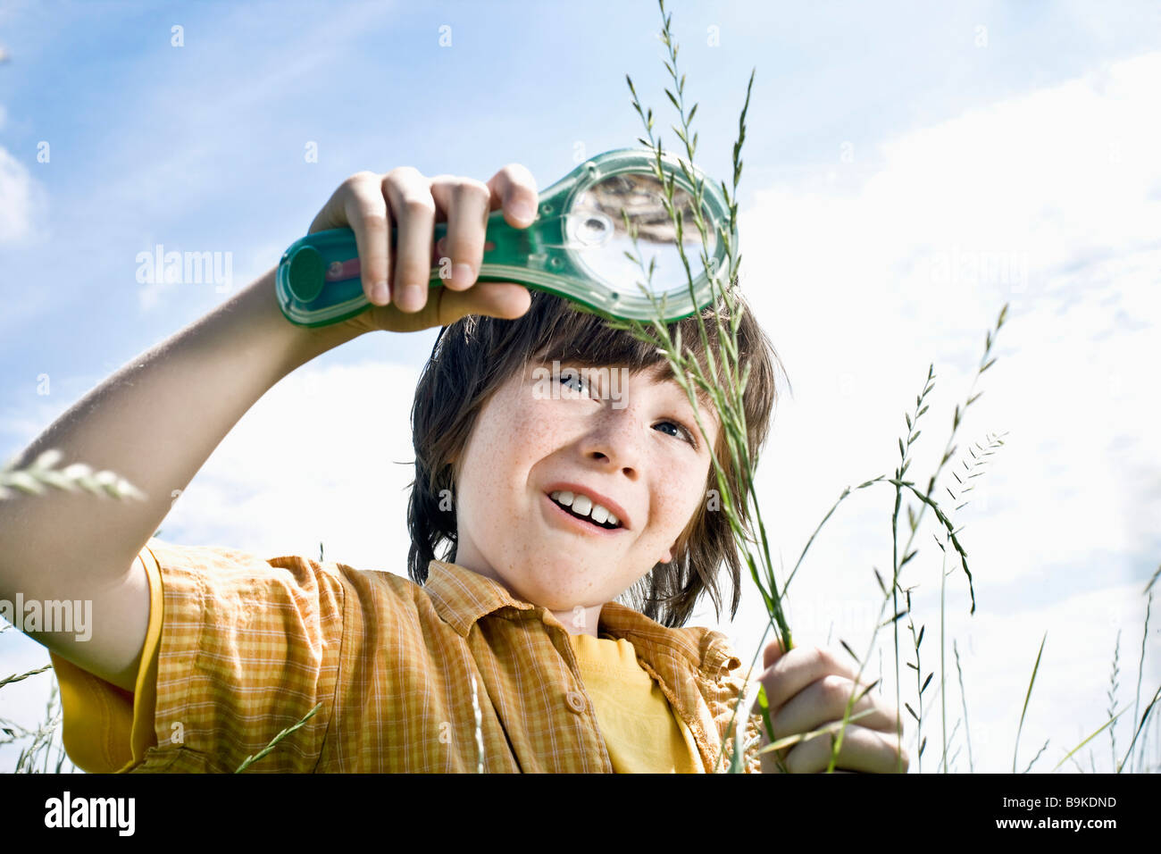 young boy looking at grass through magnifying glass Stock Photo - Alamy