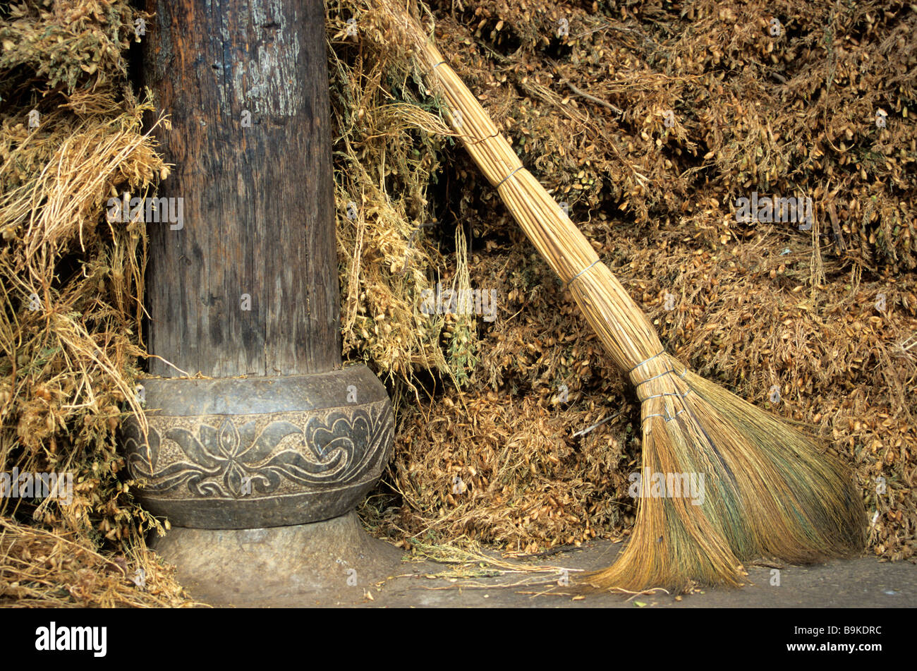 China, Yunnan province, Longquan, broom Stock Photo - Alamy