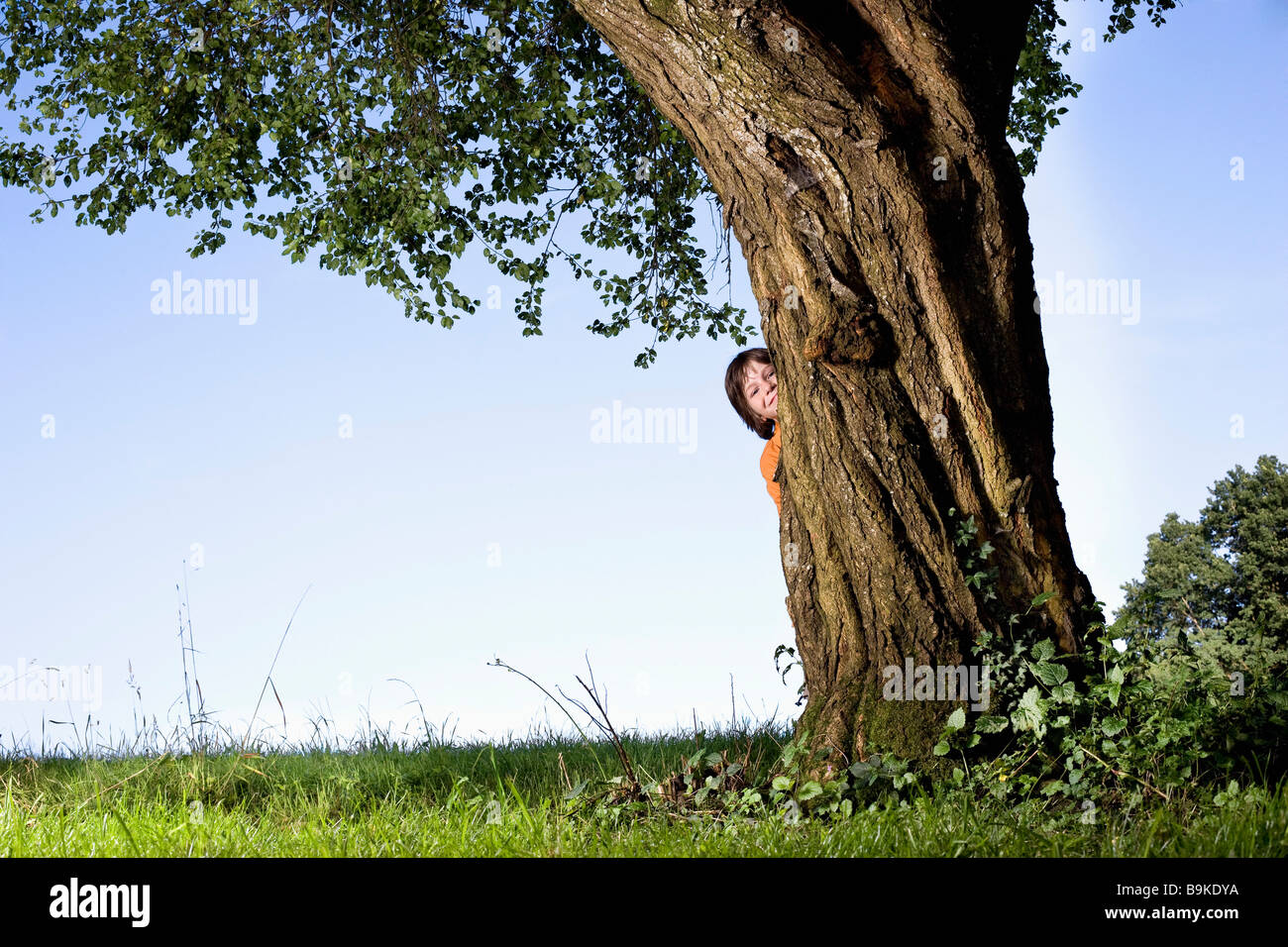 young boy peeking behind tree Stock Photo - Alamy