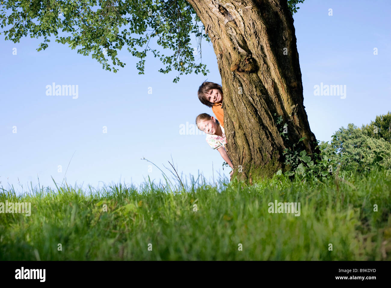 sister and brother peeking behind tree Stock Photo - Alamy