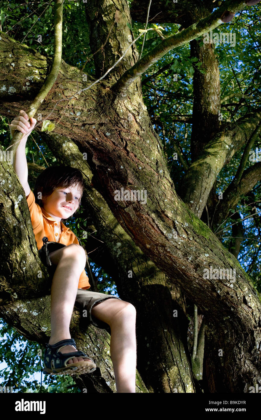 portrait of young boy sitting in tree Stock Photo - Alamy