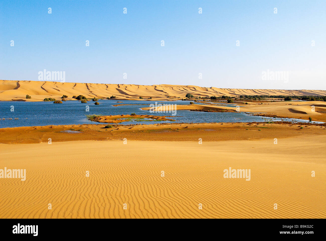 Morocco, South Morocco, Laayoune area, desert and laguna (former ...