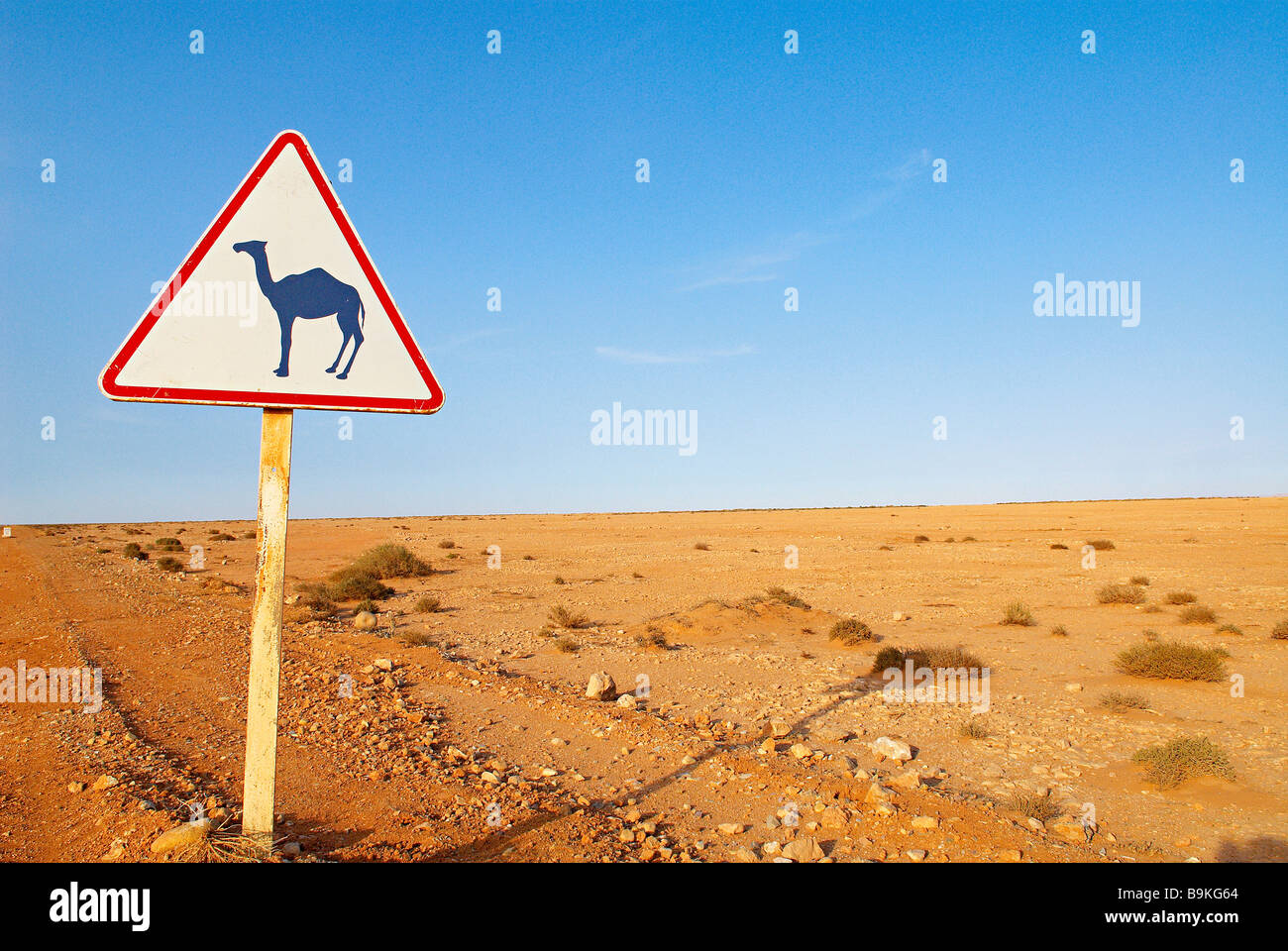 Smara former spanish sahara hi-res stock photography and images - Alamy