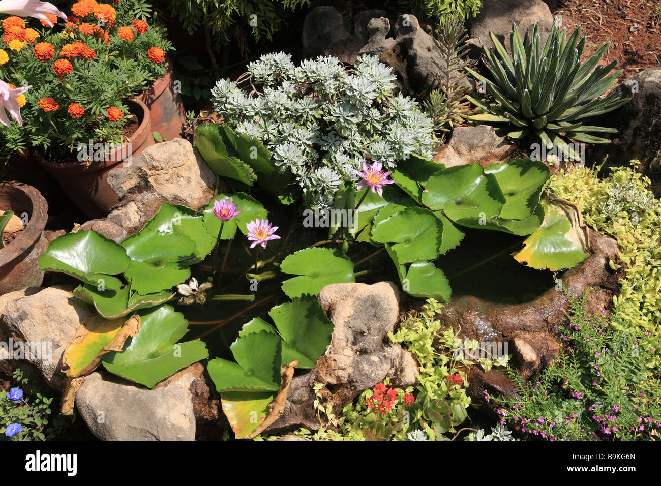 India Puducherry Pondicherry Sri Aurobindo Ashram garden Stock Photo ...