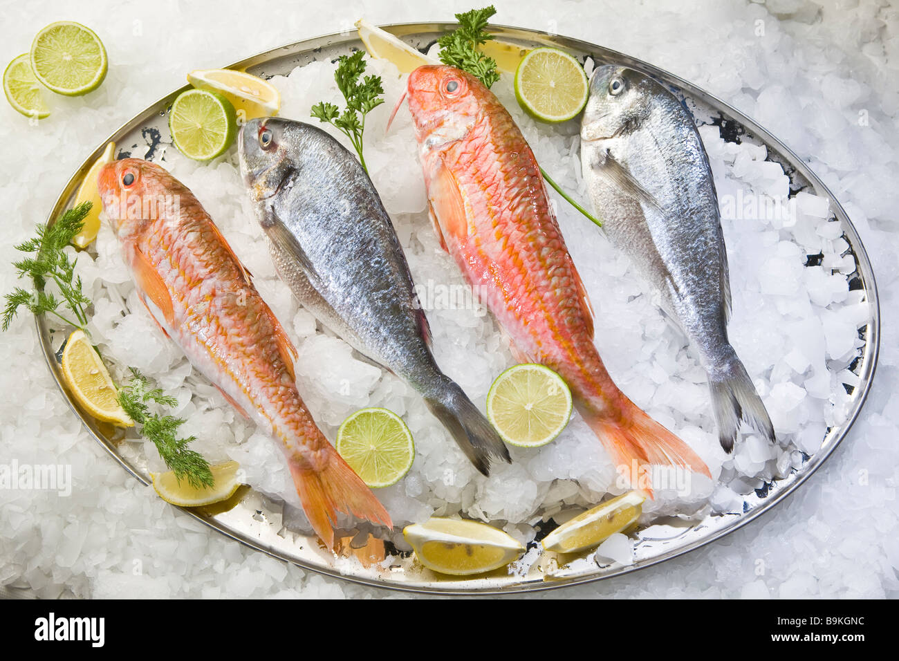 fresh fish on ice Stock Photo - Alamy