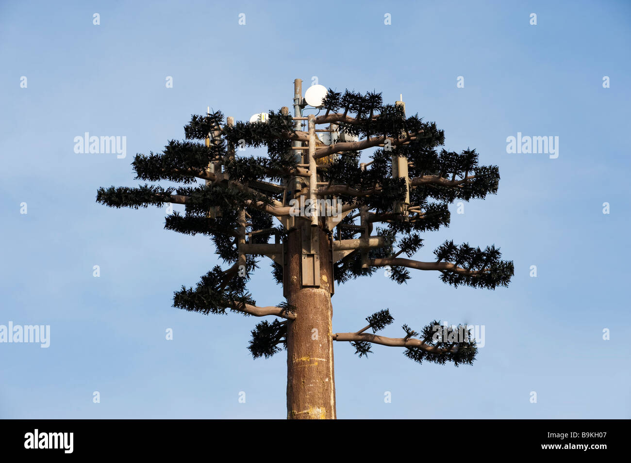 Phone mast tree hi-res stock photography and images - Alamy