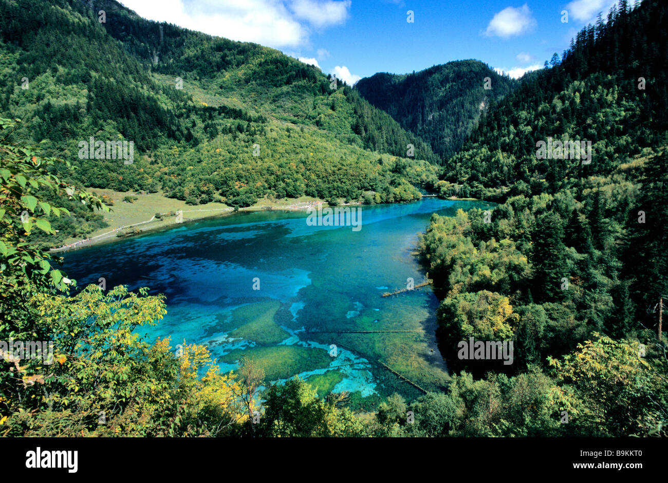 View five flower lake jiuzhaigou hi-res stock photography and images ...