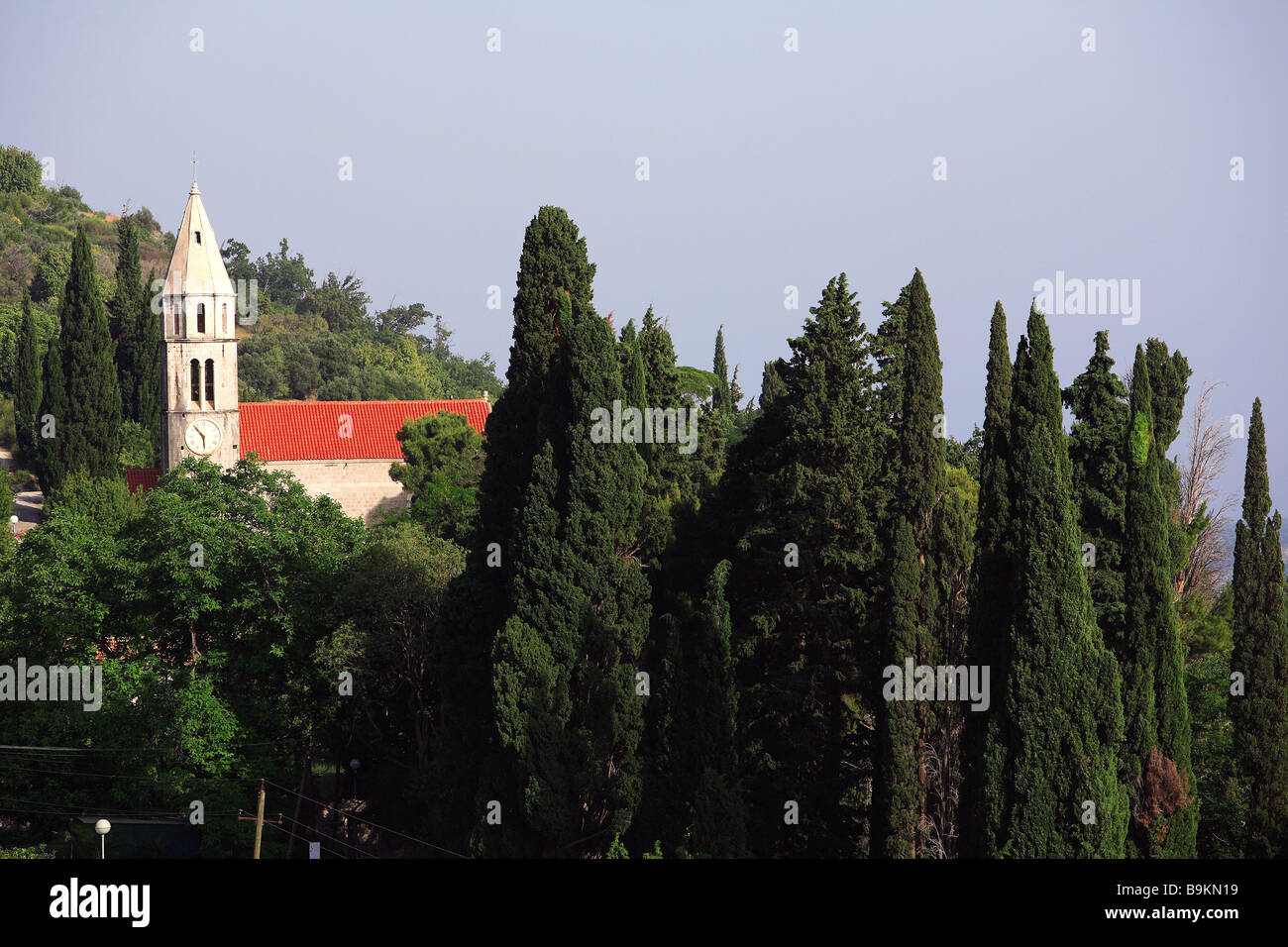 Croatia, Dalmatia, Dalmatian coast, Trsteno village Stock Photo - Alamy