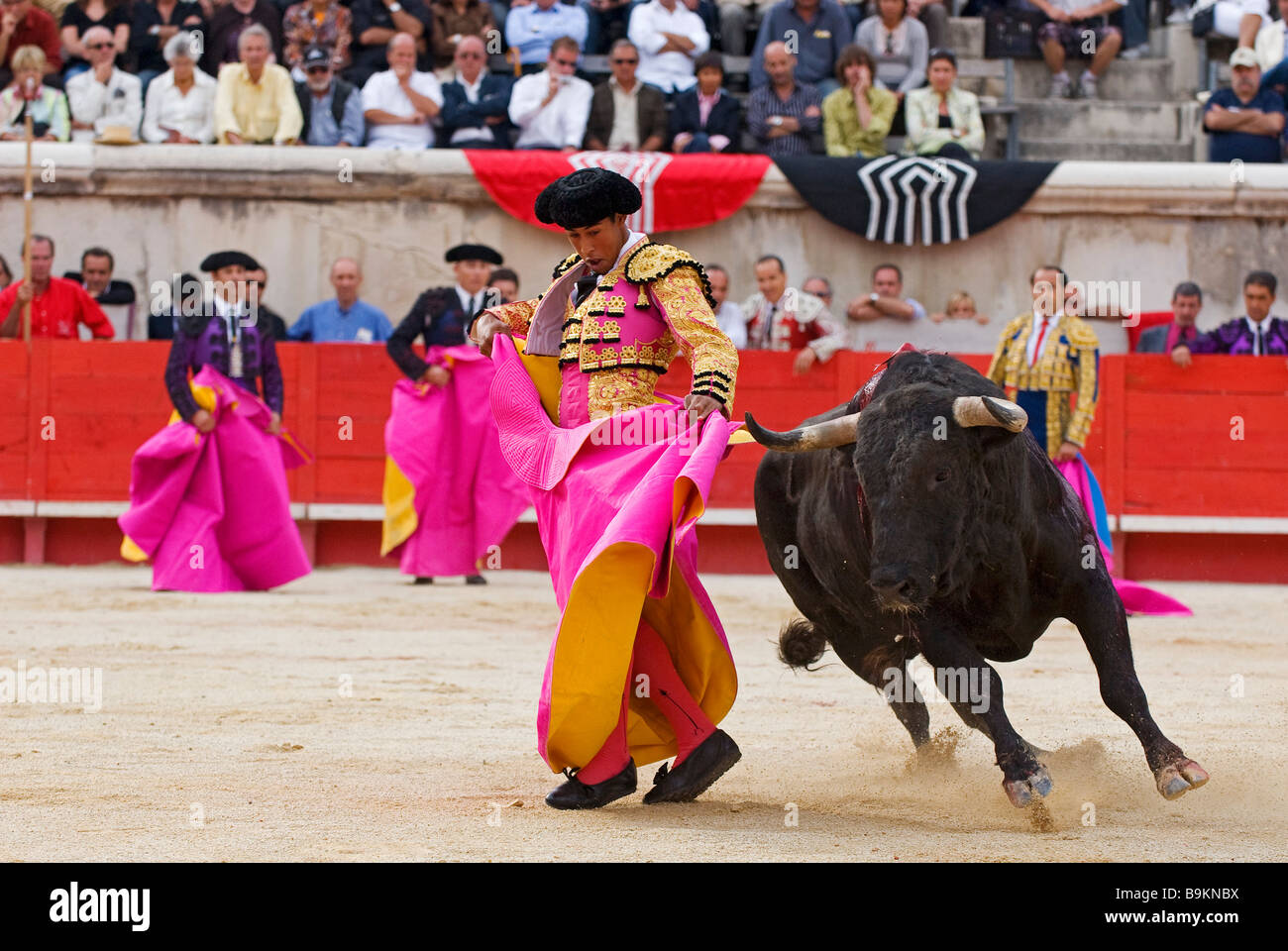 France, Gard, Nimes, french bullfighter Mehdi Savalli during the ...