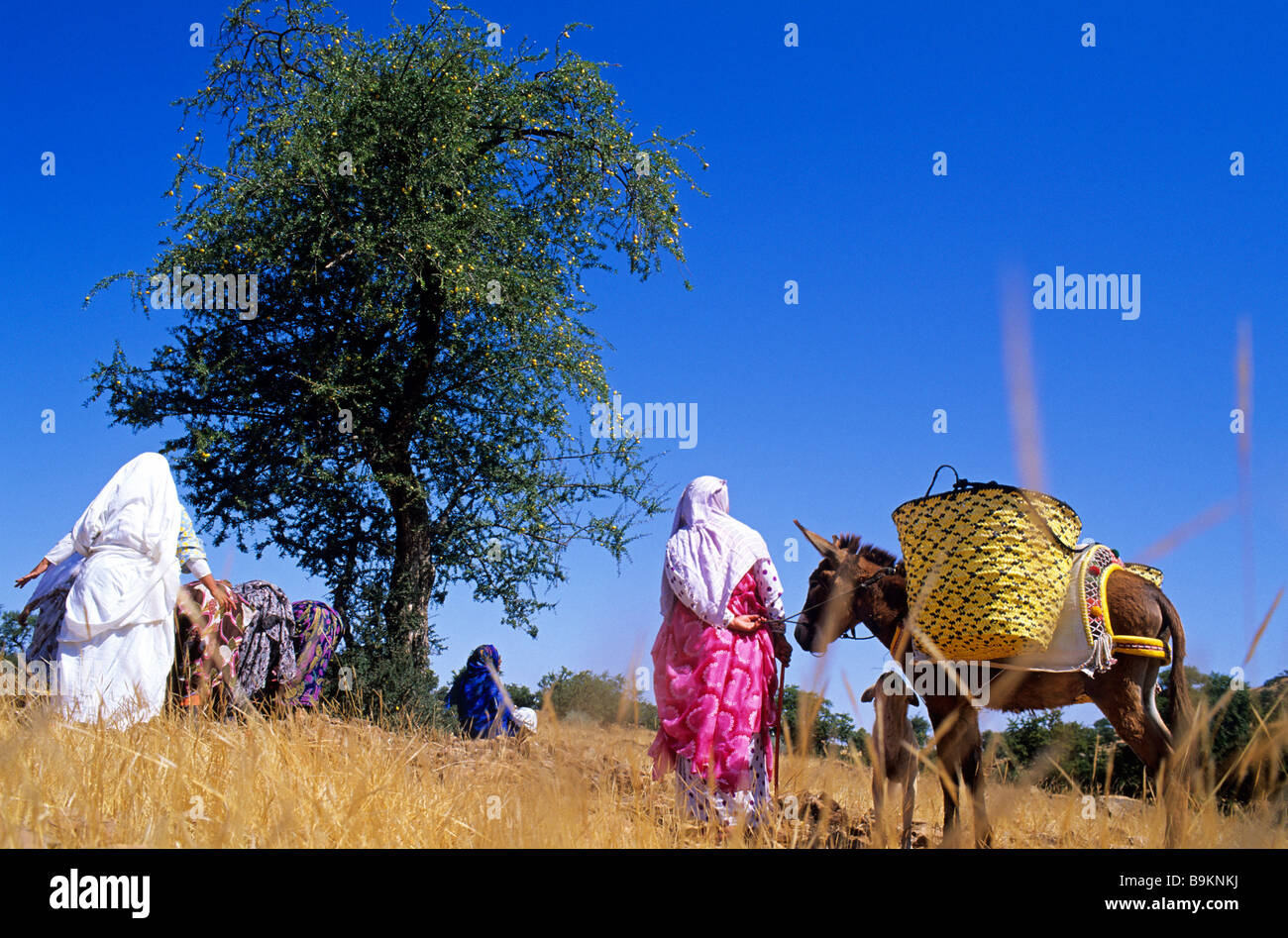 Ait baha hi-res stock photography and images - Alamy