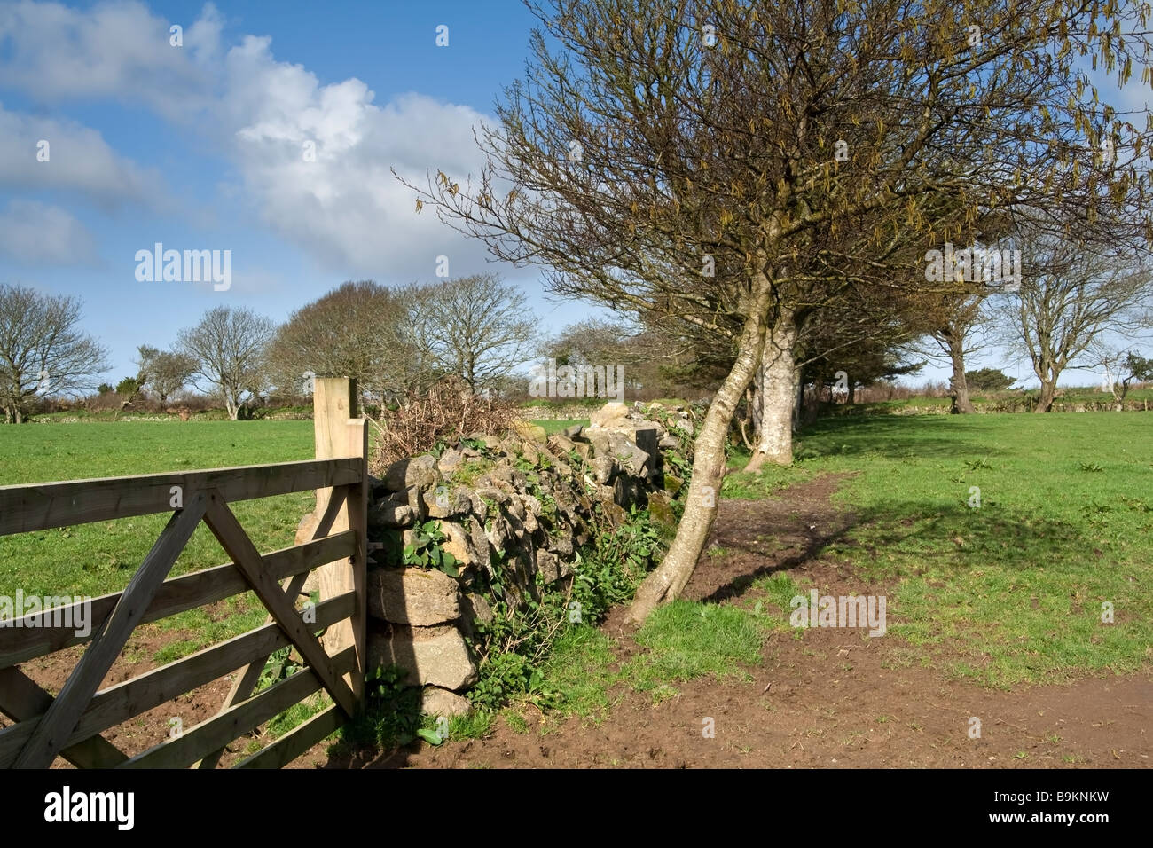 A rural scene, UK Stock Photo - Alamy