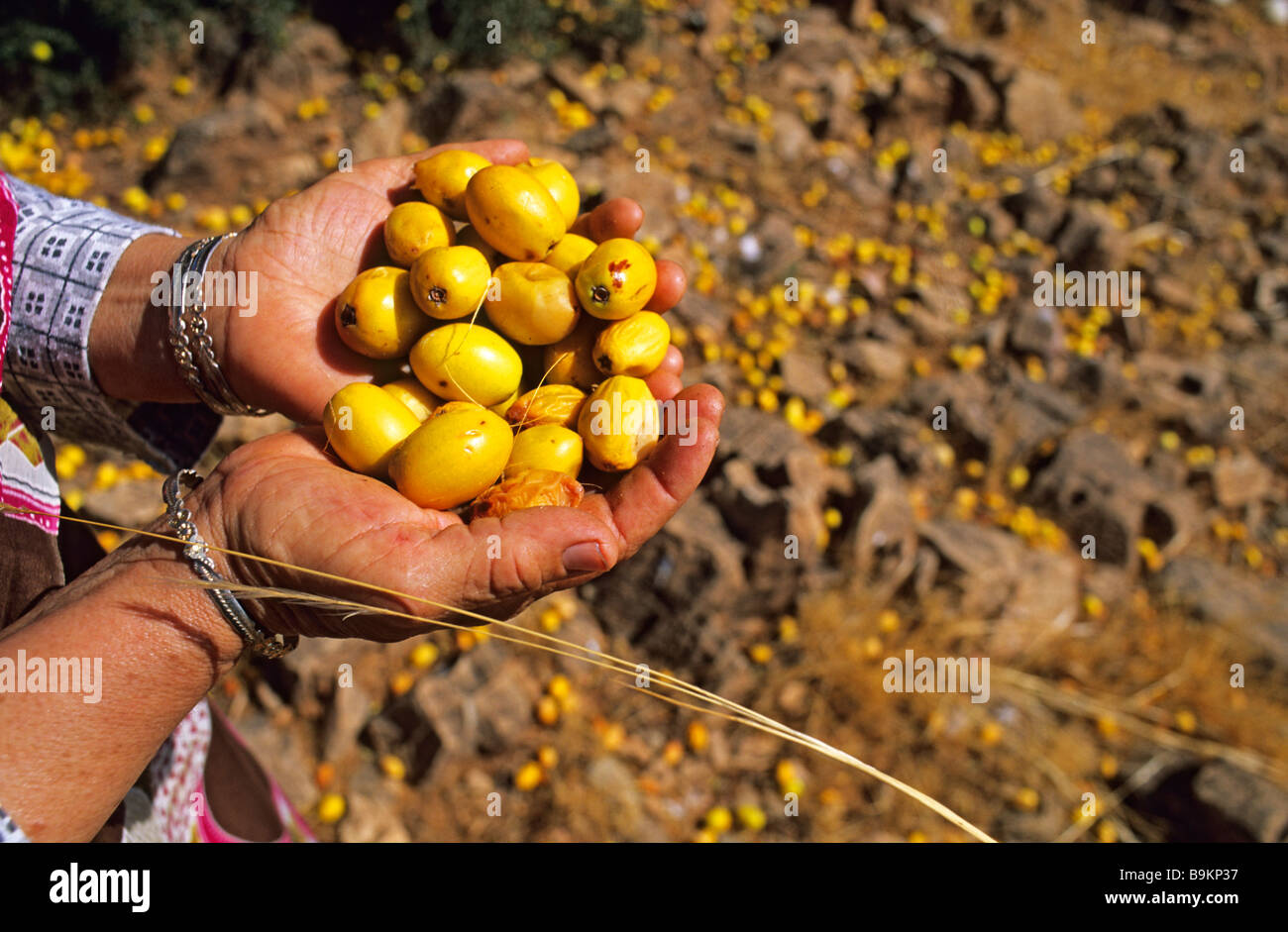 Baha Food High Resolution Stock Photography and Images - Alamy