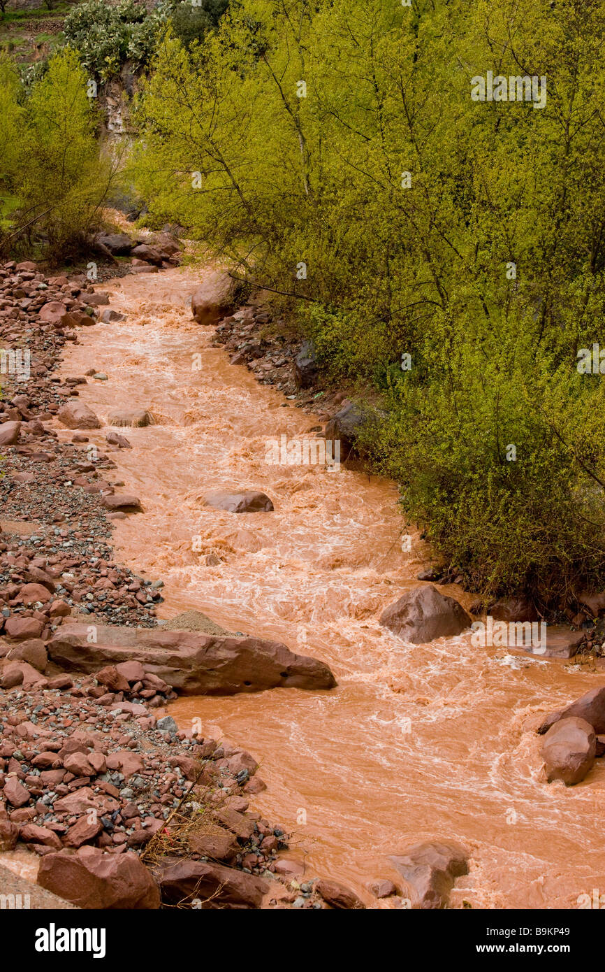 The Ourika river in spate after heavy rain showing how much material is ...