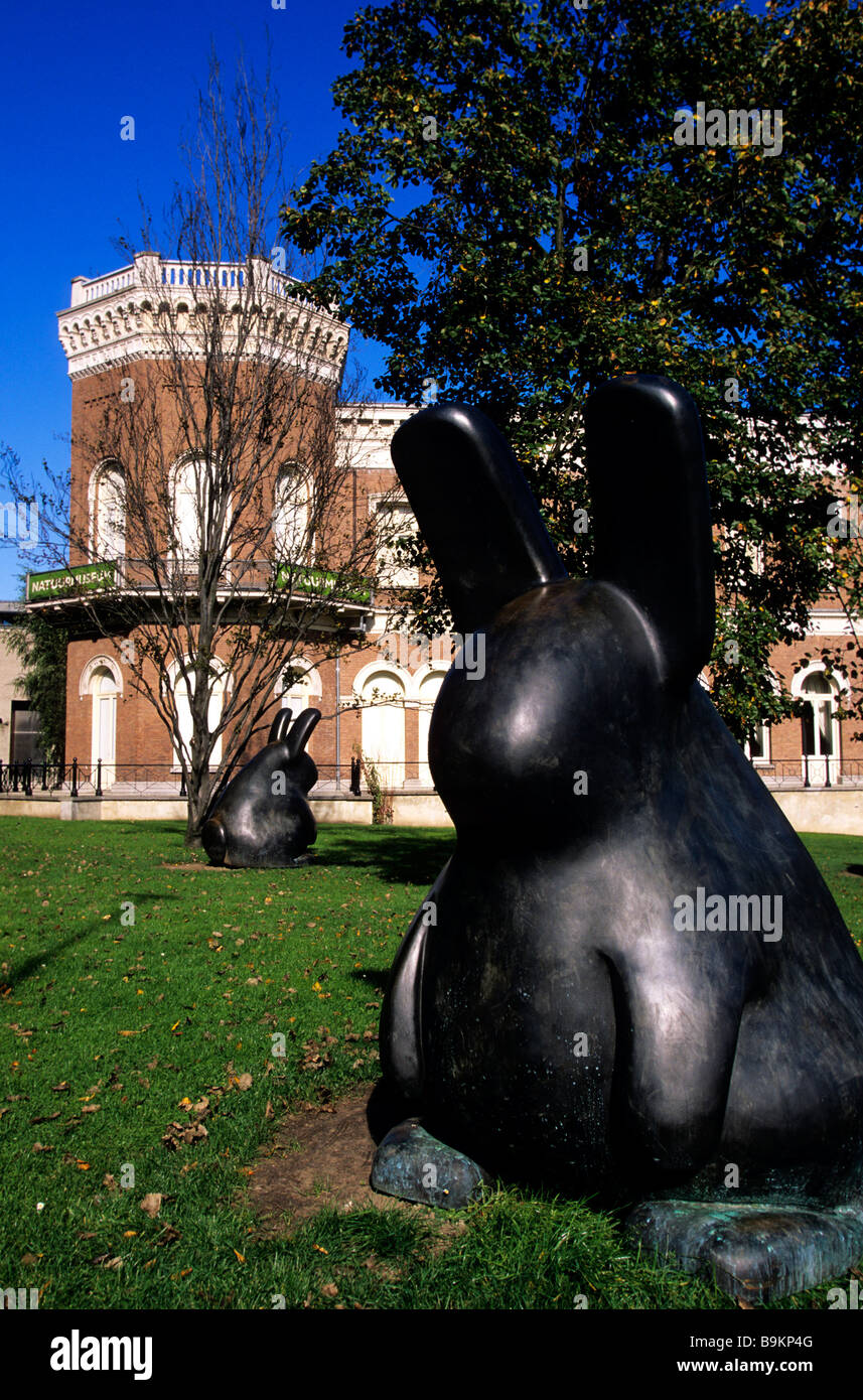 Netherlands, Southern Holland, Rotterdam, Natural History Museum Stock ...