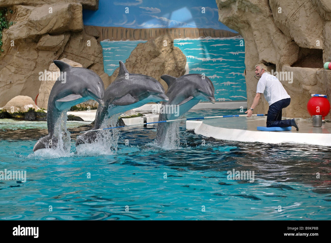 Dolphinarium in a zoo in Duisburg, Germany Stock Photo - Alamy
