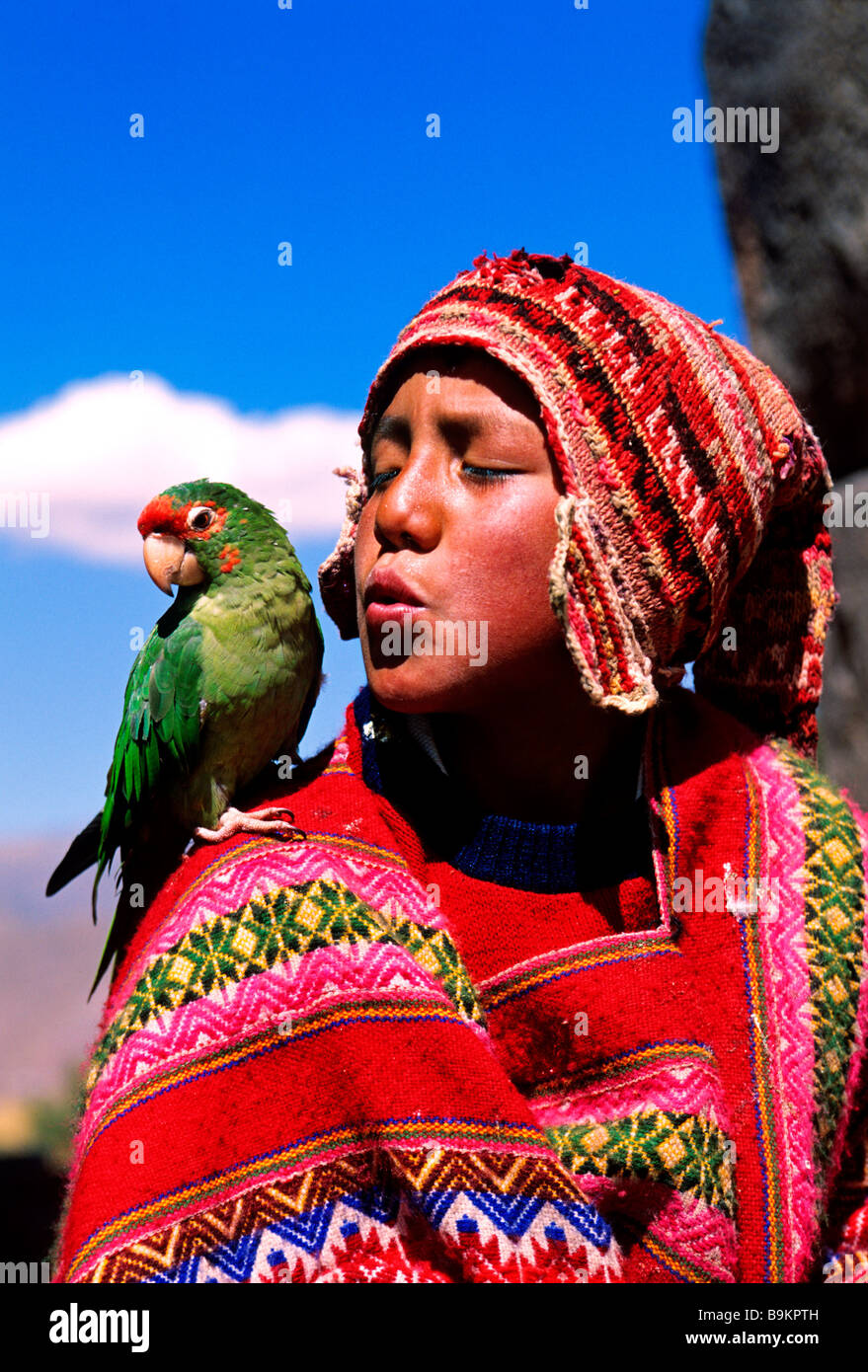 Peru, peruvian child with parrot Stock Photo - Alamy