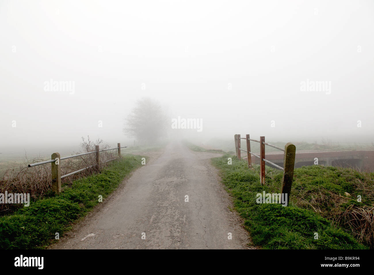 Fog lane hi-res stock photography and images - Alamy