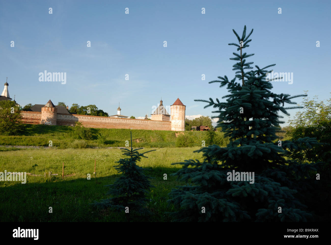 Suzdal russia tree land hi-res stock photography and images - Alamy