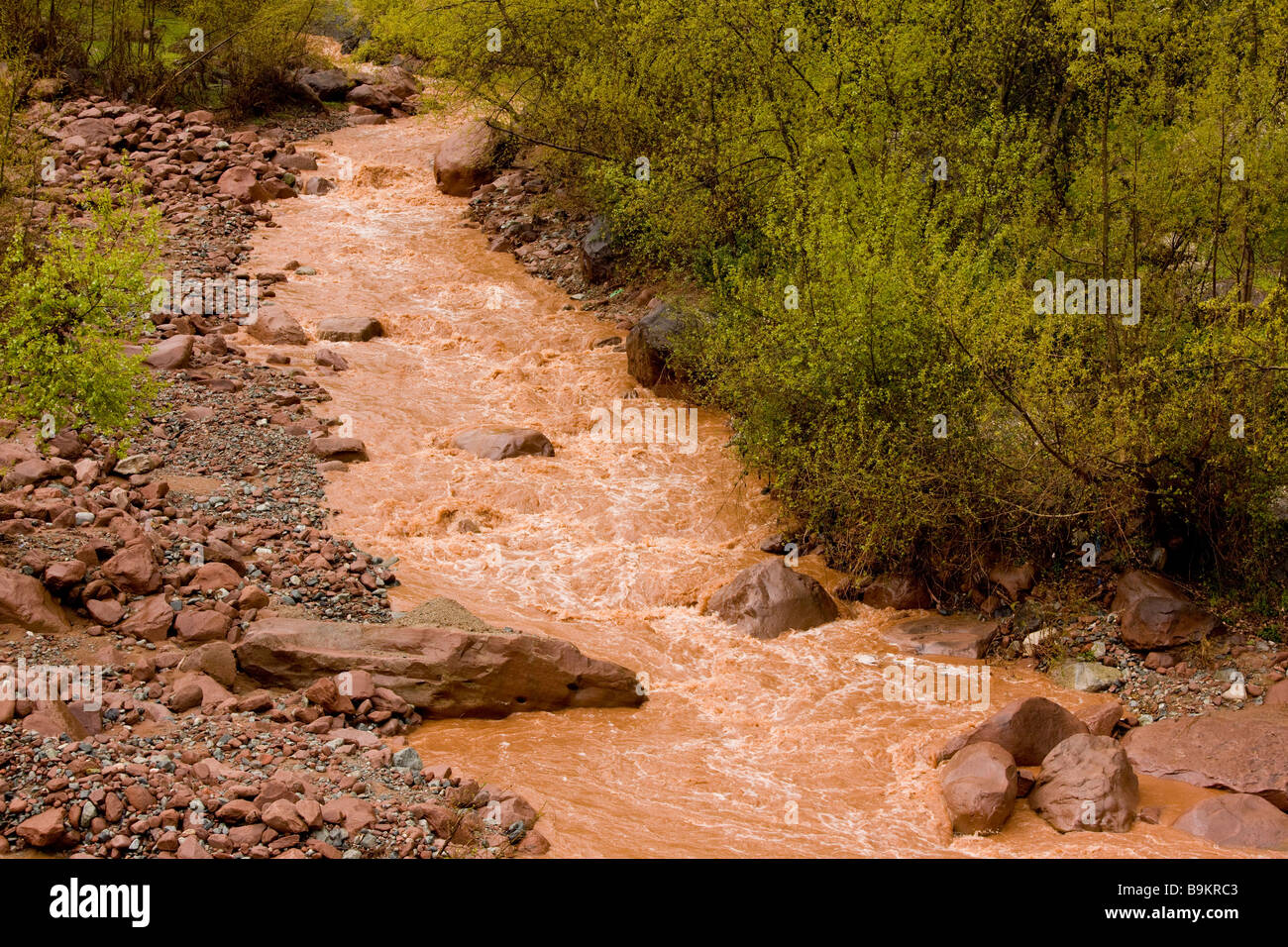 Canyon showing erosion from river hi-res stock photography and images ...