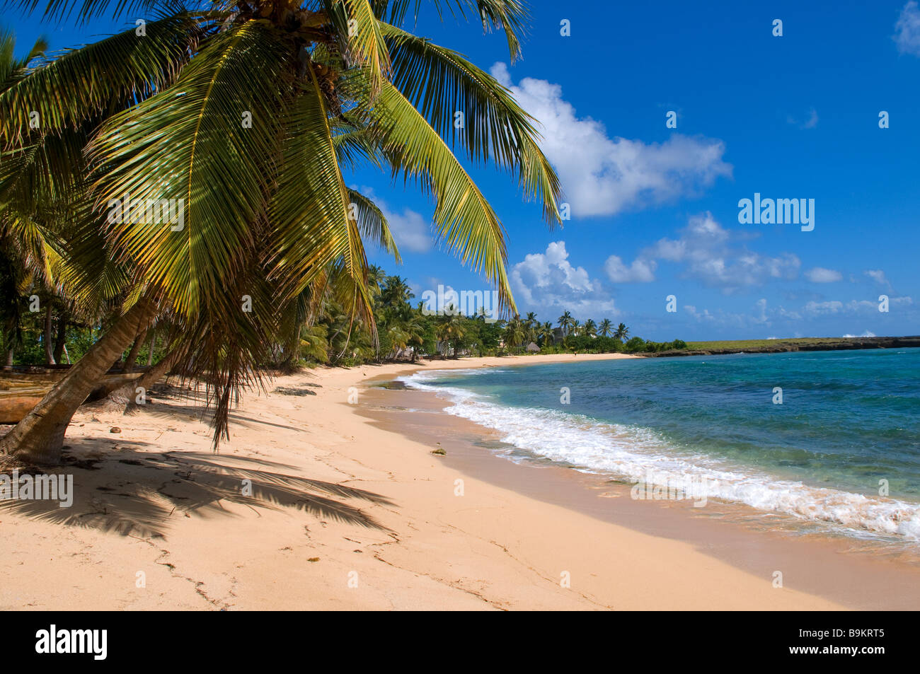 Dominican Republic, Samana province, El Frances, the beach Stock Photo ...