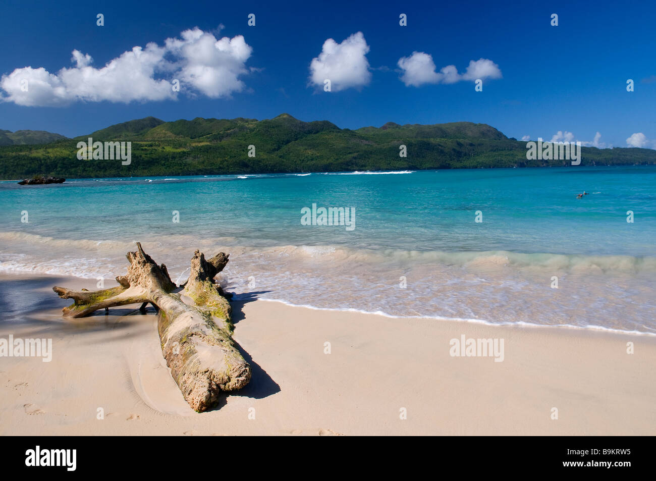 Dominican Republic, Samana Peninsula, El Rincon, the beach Stock Photo ...