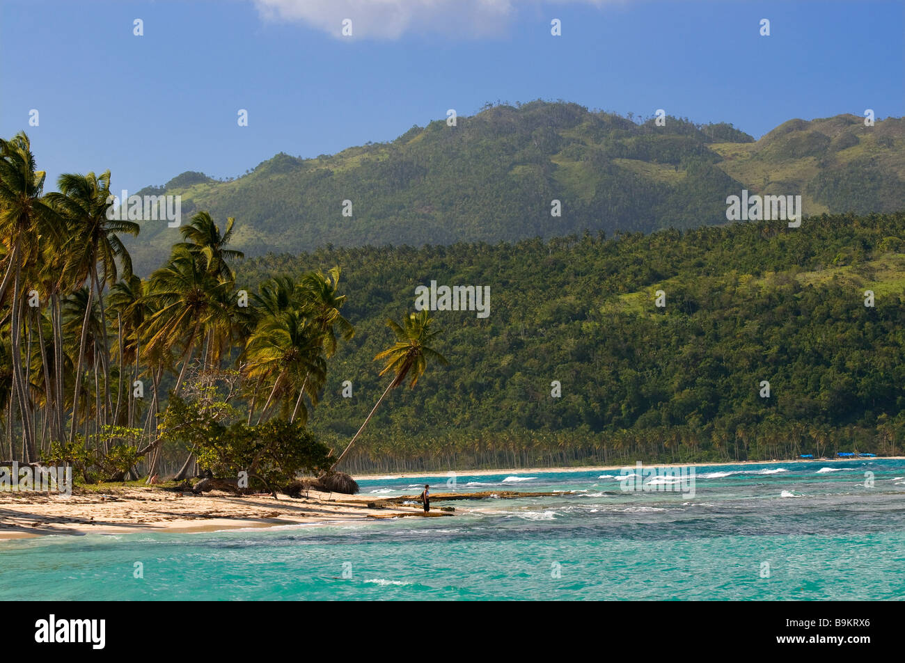 Dominican Republic, Samana Peninsula, El Rincon, the beach Stock Photo ...