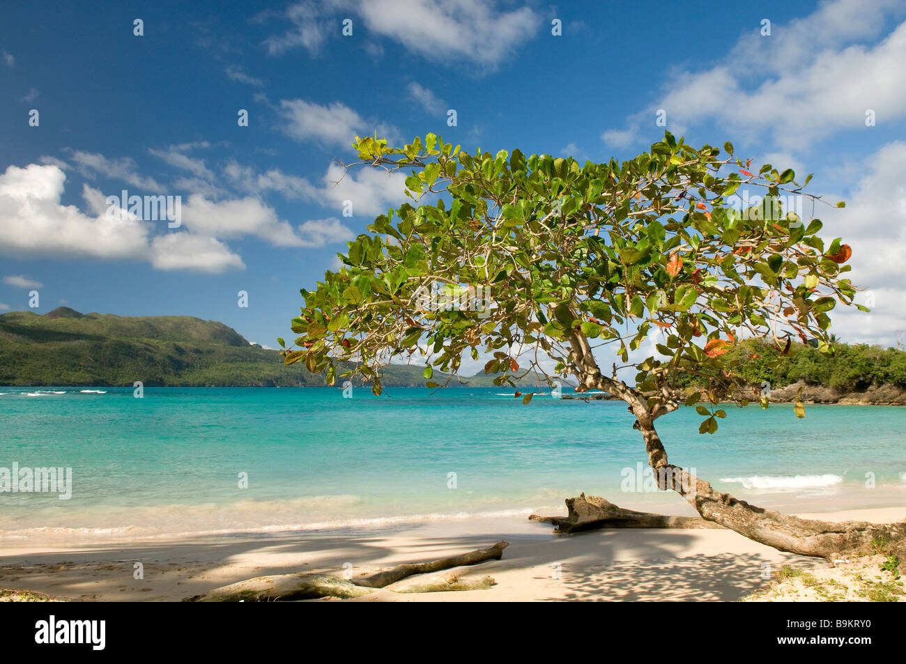 Dominican Republic, Samana Peninsula, El Rincon, the beach Stock Photo ...