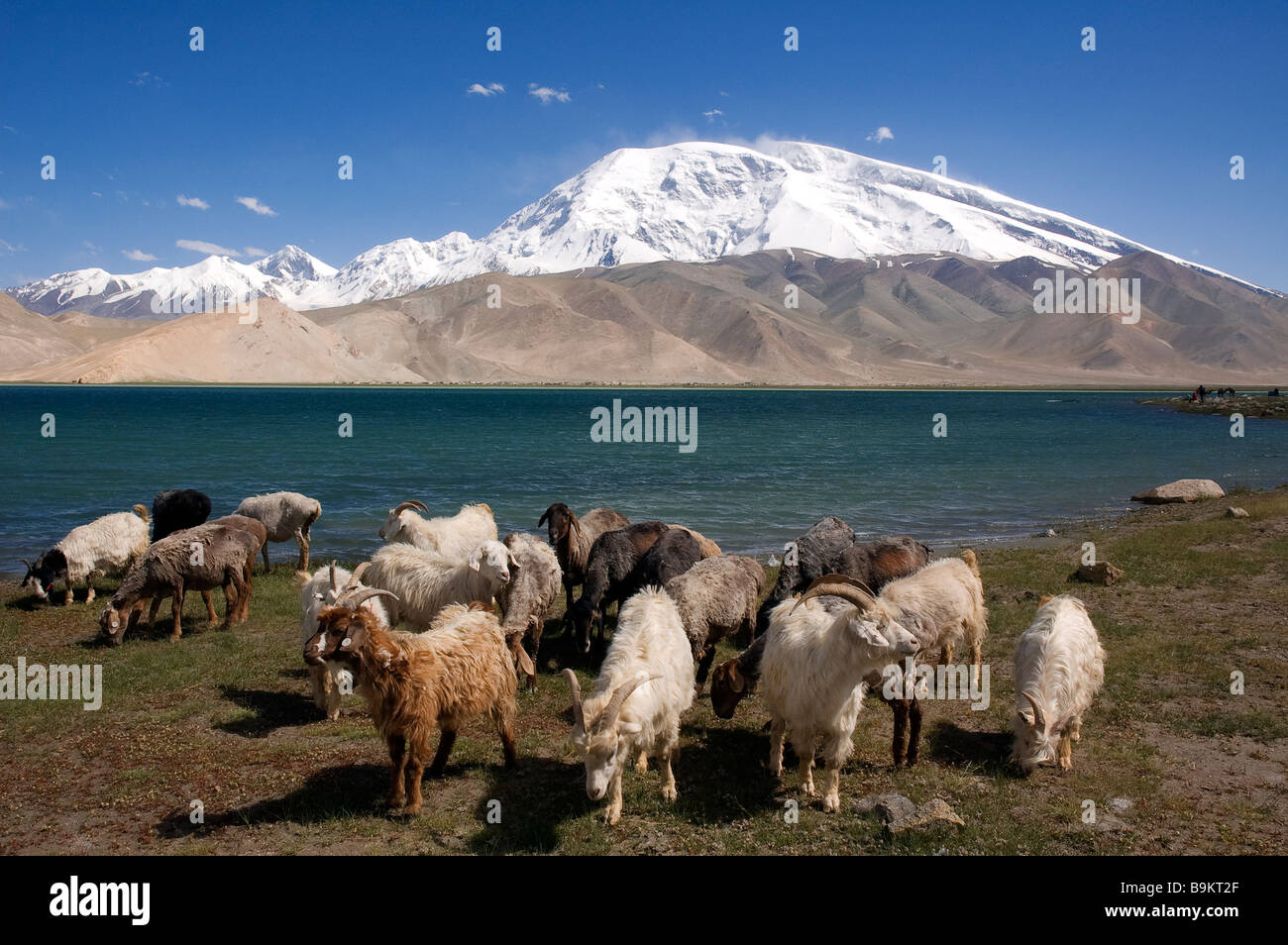 China, Xinjiang Uygur, Karakul Lake at an altitude of 3500m and Mustagh ...