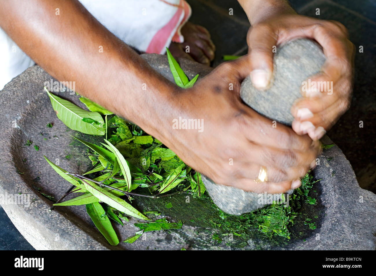 India, Kerala, making of Ayurvedic concoction Stock Photo - Alamy