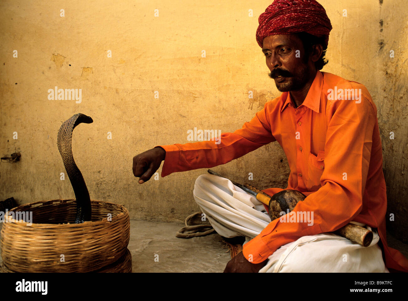 India, Rajasthan State, Jaipur, Harji Nath Sapera is the only one snake ...