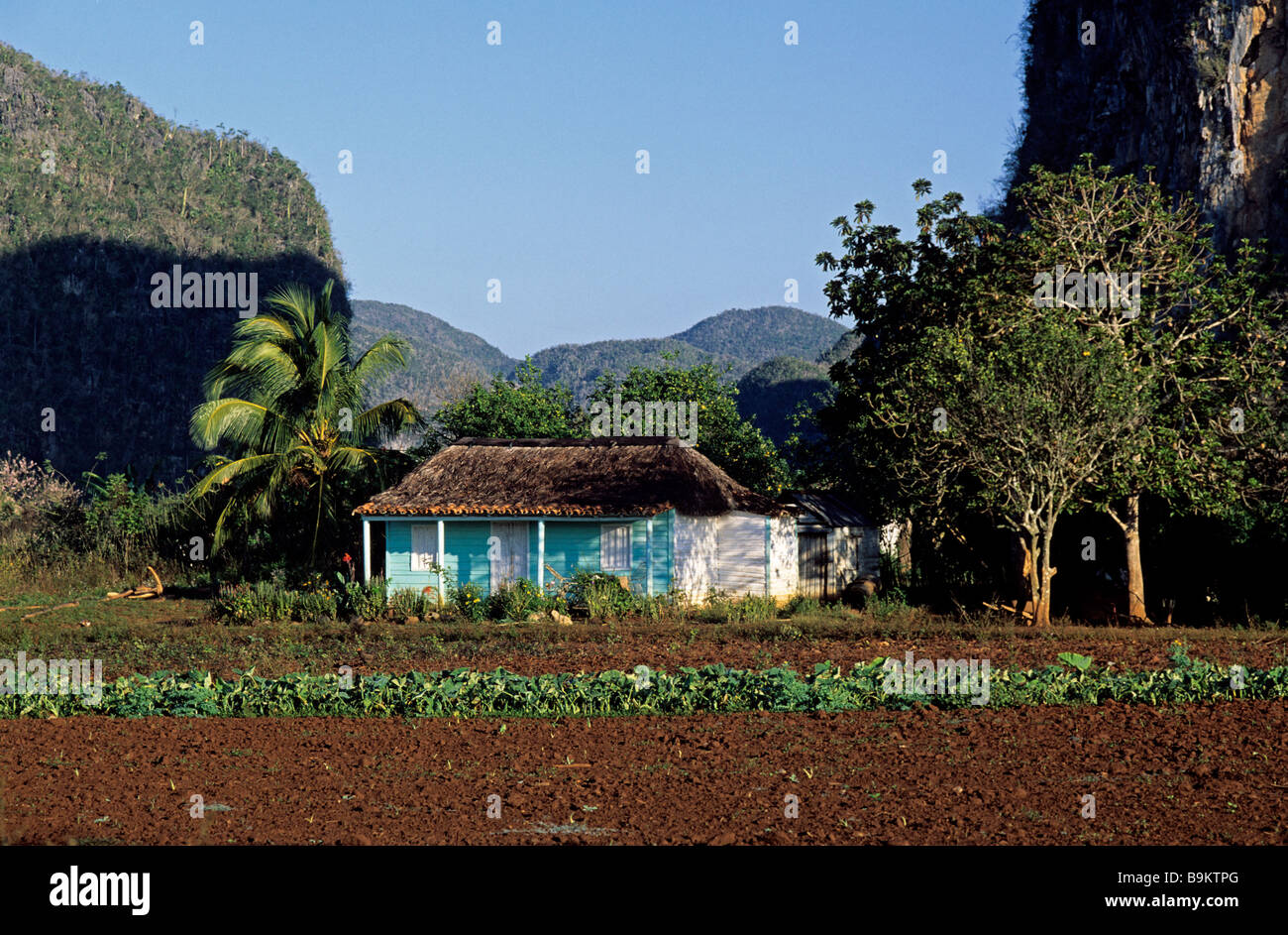 Cuba, Pinar del Rio province, Vinales valley classified as World ...